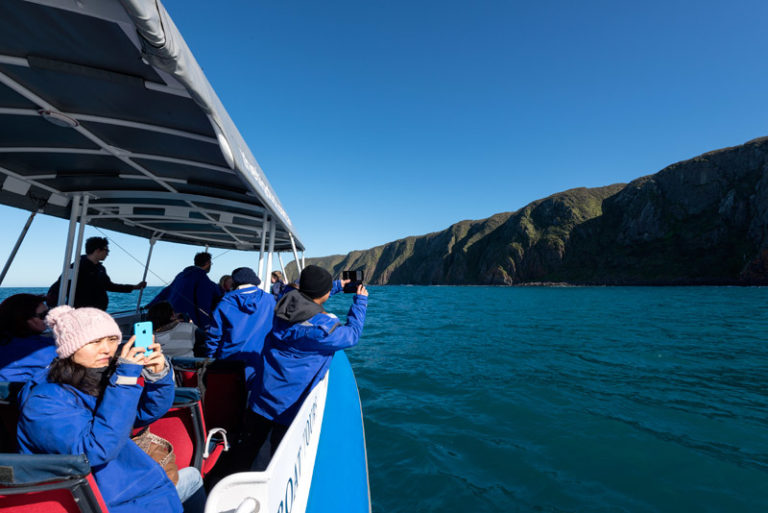 wsb-0351 - Whalespotter